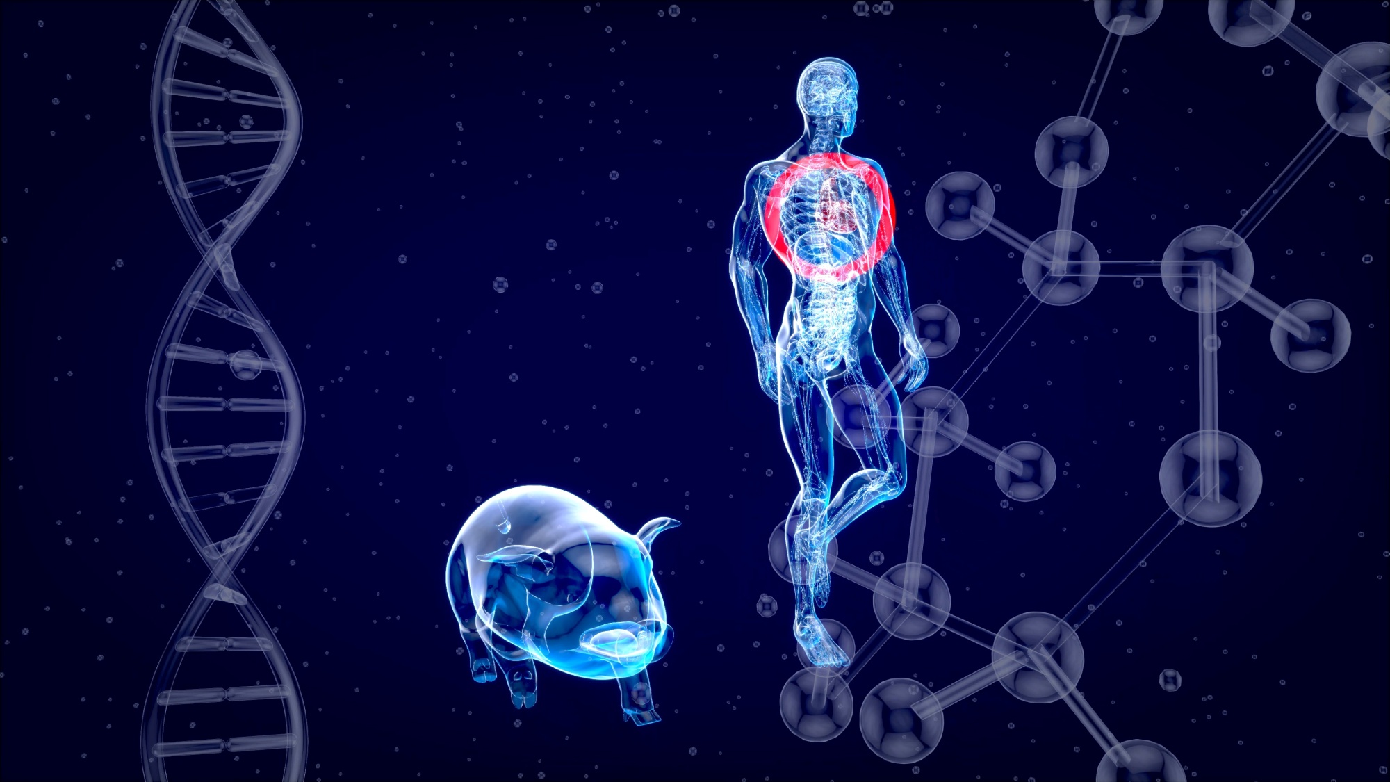 Spark-Tech - Spark Tech Lab